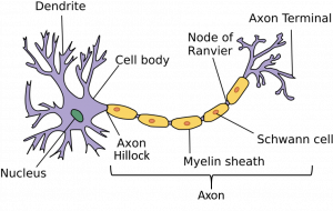 CH103 - CHAPTER 4: Ions and Ionic Compounds - Chemistry